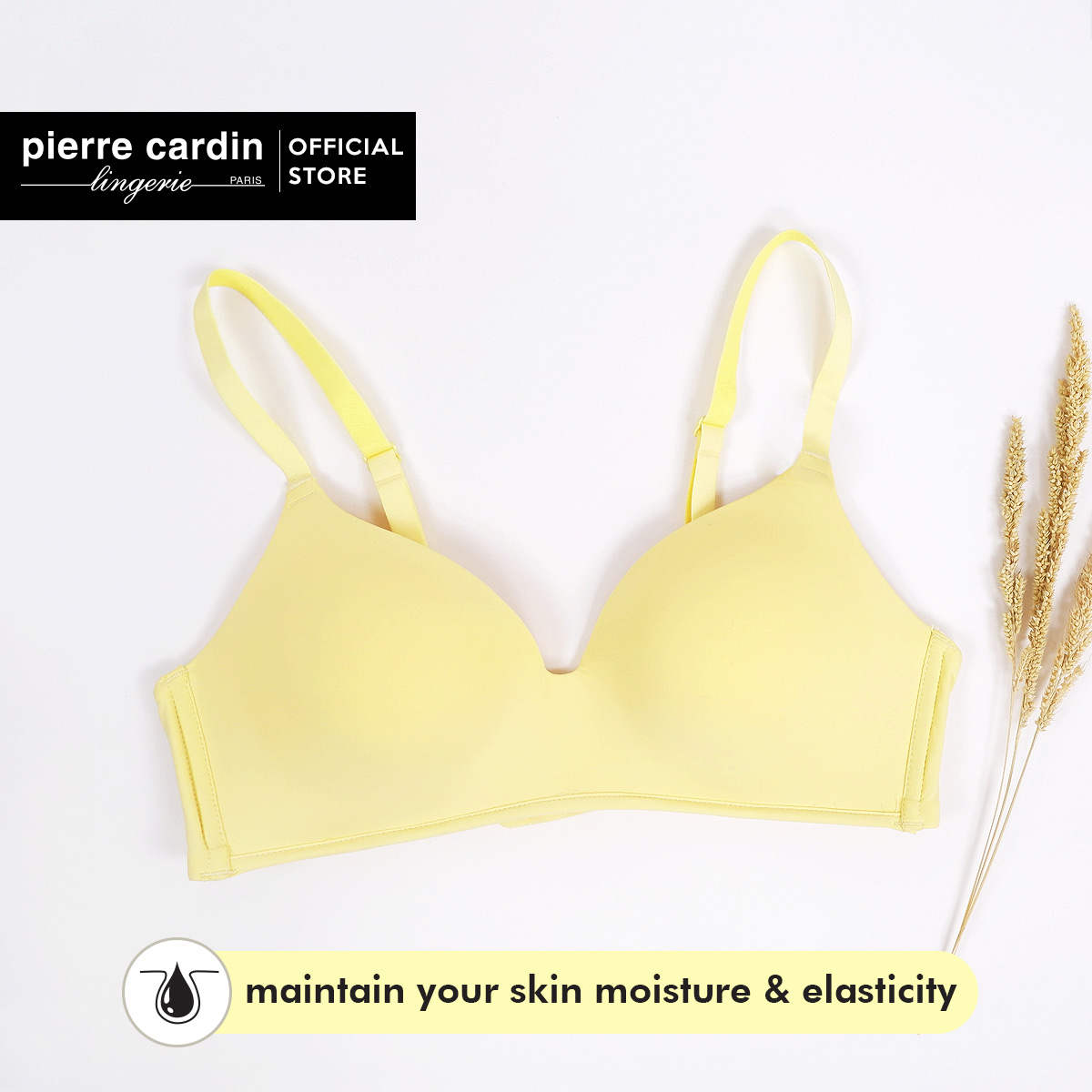 Pierre Cardin Lingerie